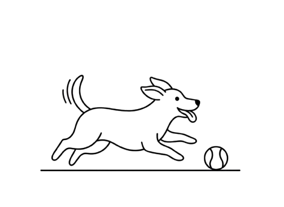 Vaal Pets | Animal Shelter & Rescue